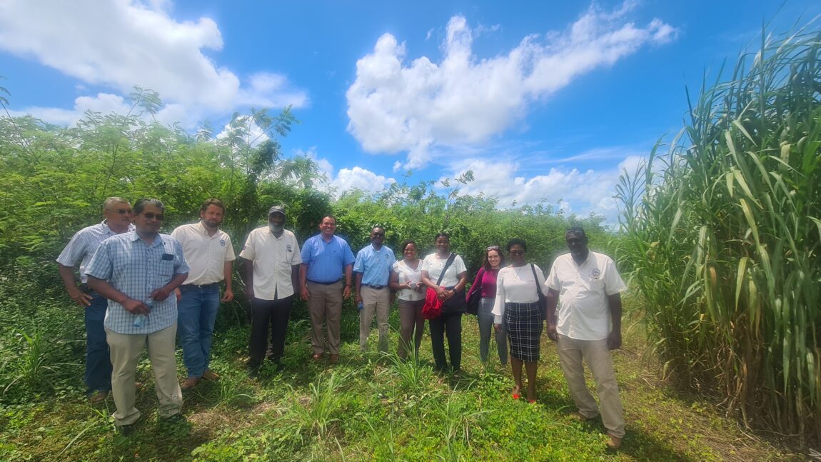 BLPA to Implement Model Farms Countrywide – Government of Belize Press ...