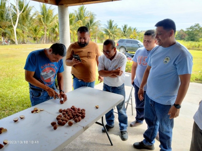 Ministry of Agriculture and JICA Conduct Cultivation Training for ...