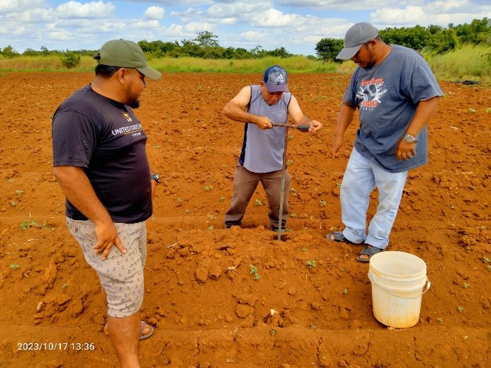 Ministry of Agriculture and JICA Conduct Cultivation Training for ...