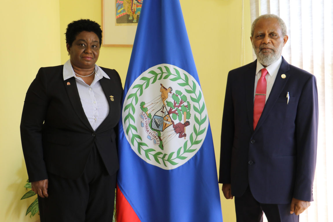 Governor General Swears In Ombudsman and Acting Chief Justice ...