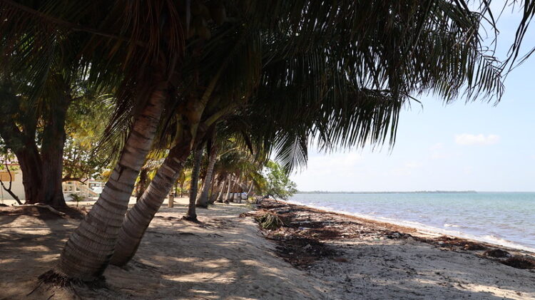 The Government of Belize, with Support from the UNDP, hosts the ...